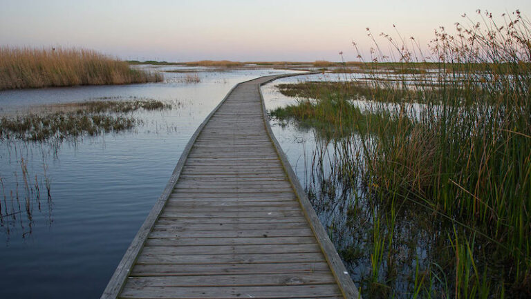 10 Houston Beaches - Best Beaches Near Houston, Texas
