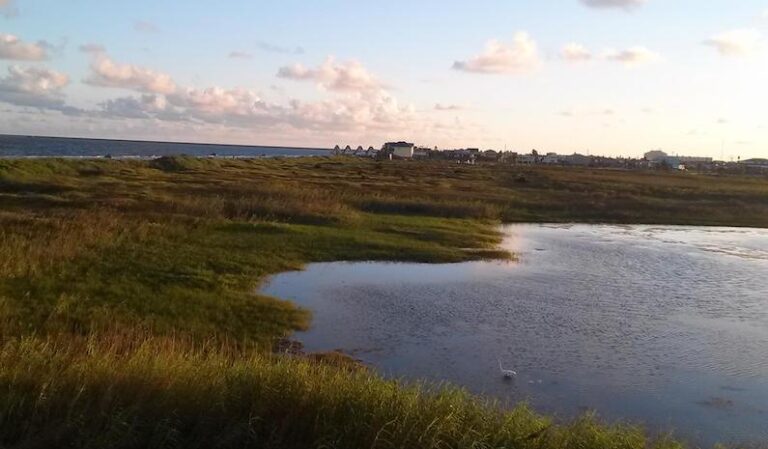 10 Houston Beaches - Best Beaches Near Houston, Texas
