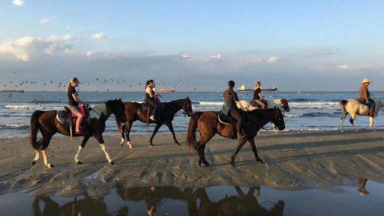 Galveston Spring Break 2024 Guide - 10 Things to Do