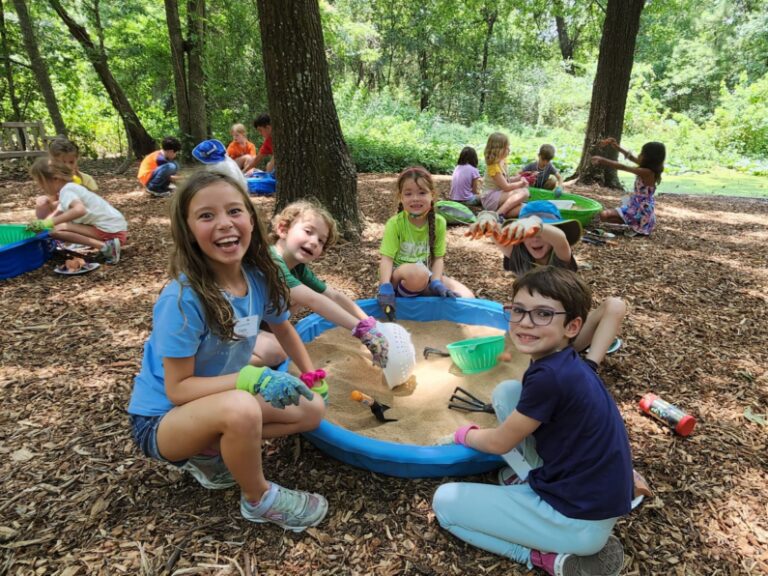 Things To Do in Houston This Summer