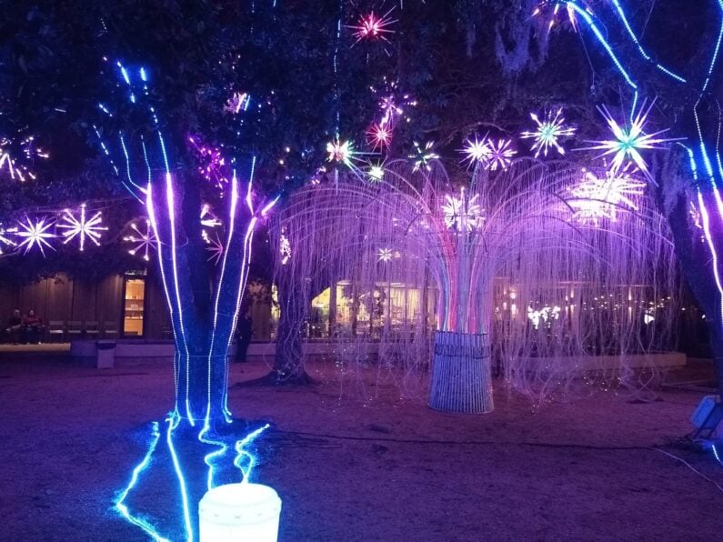 My Experience At Radiant Nature Houston Botanic Garden 2024