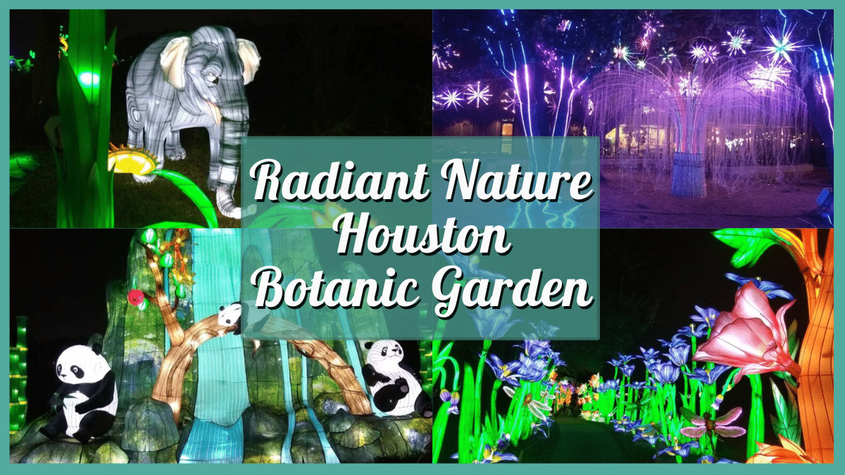My Experience At Radiant Nature Houston Botanic Garden 2024