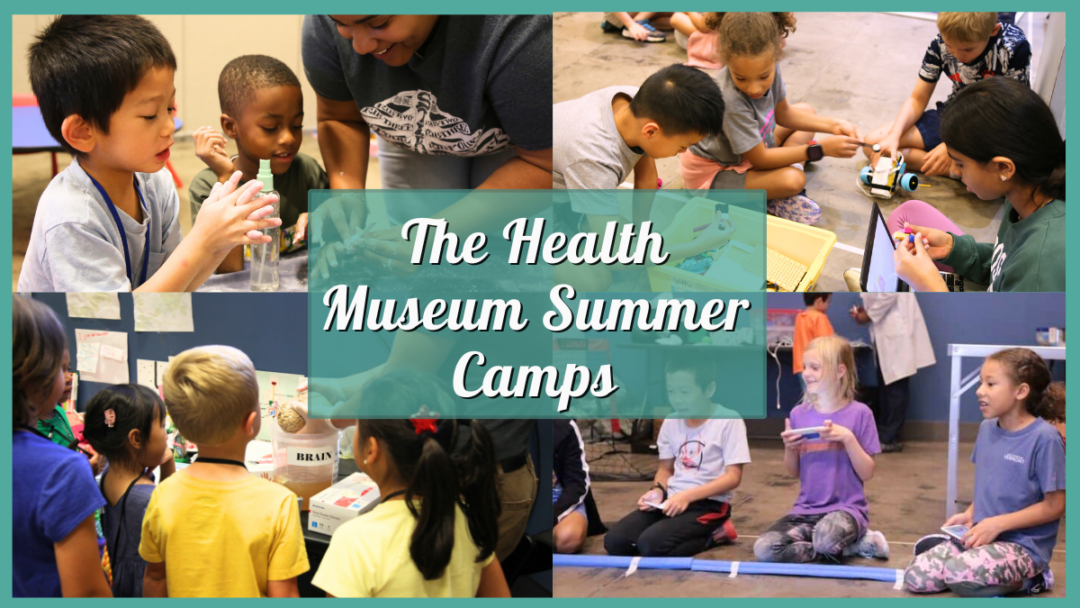 Health Museum Summer Camps 2025| Hands On Discovery!