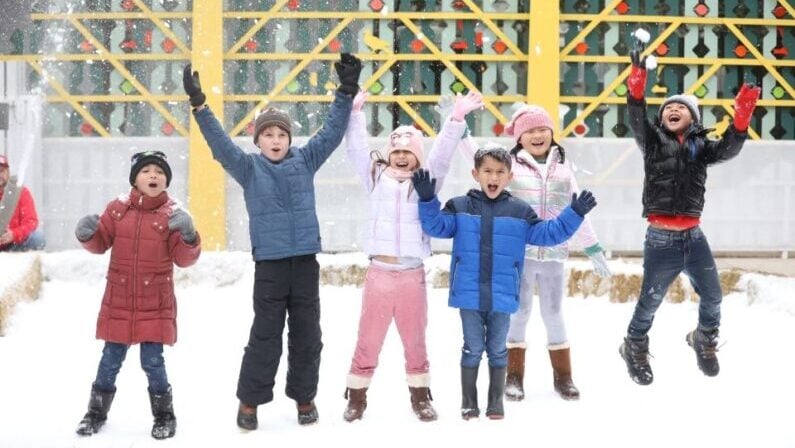 Free and Fun Events in Houston January 2 - January 4